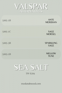Gray is Out, Use Sherwin Williams Sea Salt Instead (Plus Color Matches ...