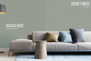 Sherwin Williams Acacia Haze: A Delicious Gray Green (Deep Dive & Dupes ...