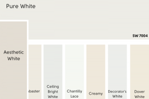 Sherwin Williams Pure White vs Other White Paint Colors (Extra White ...