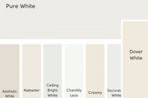 Sherwin Williams Pure White vs Other White Paint Colors (Extra White ...