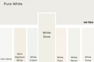 Sherwin Williams Pure White vs Other White Paint Colors (Extra White ...