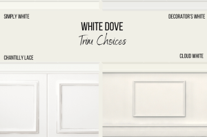 Why Benjamin Moore White Dove Is A Decorating Essential Best White