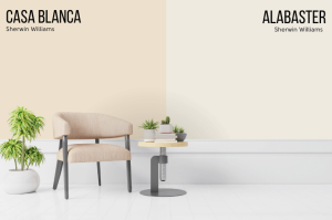 These Decor Buffs Used Sherwin Williams Casa Blanca on ALL of Their ...