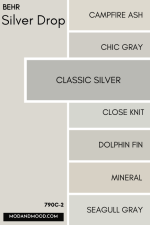 Behr Silver Drop Can't Decide What Color it is (Good or Bad?) - Mod & Mood