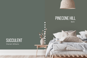 Don't Use Sherwin Williams Succulent (Unless You Want Everyone to Copy ...
