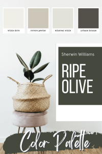 A Ripe Olive May Not be for Everyone, but this Sherwin Williams Color ...