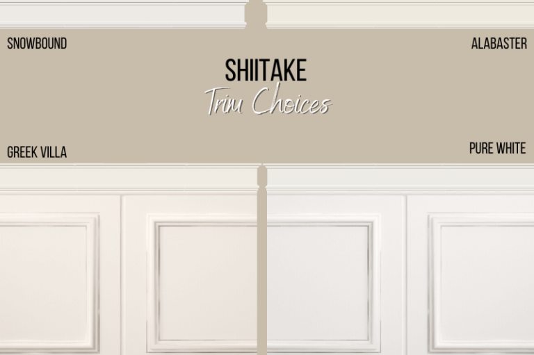 Sherwin Williams Shiitake is the Smooth Beige Wall Color You've Been ...