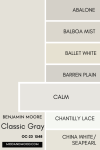 Classic Gray VS 60+ Other Popular Light Paint Colors (See it Compared ...