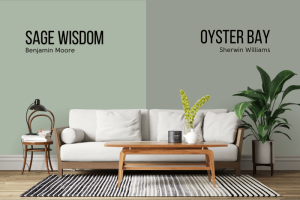 Is Benjamin Moore Sage Wisdom the Safest Sage? (Plus Dupes!) CSP-775 ...