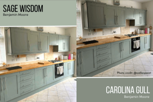 Is Benjamin Moore Sage Wisdom the Safest Sage? (Plus Dupes!) CSP-775 ...