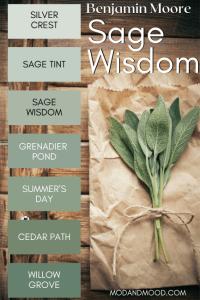 Is Benjamin Moore Sage Wisdom the Safest Sage? (Plus Dupes!) CSP-775 ...