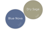 Is Benjamin Moore Dry Sage a Muddy Brown or Muted Sage? (Explained ...