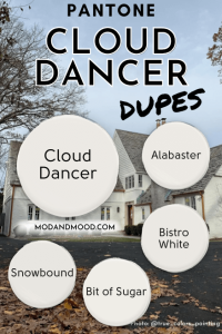 Paint Color Matches for Pantone Cloud Dancer, Their 2026 Color of the ...