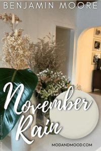 Don't Take Benjamin Moore November Rain at Face Value! (See the Dupes ...